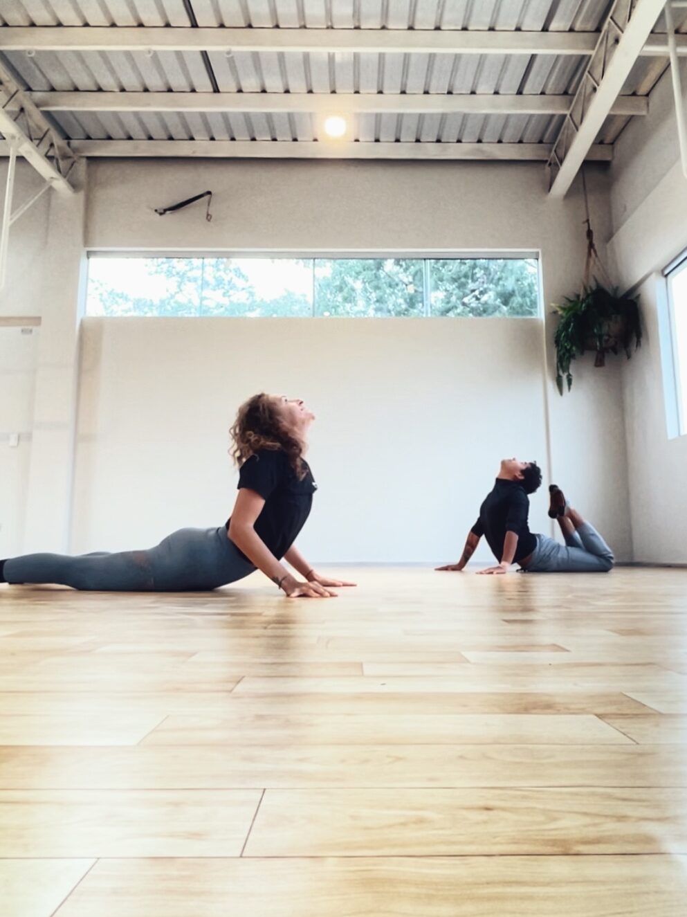 Classes – FlowIn Movement Studio